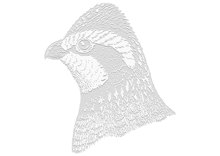 NBGI-TC Meeting | National Bobwhite and Grassland Initiative Foundation