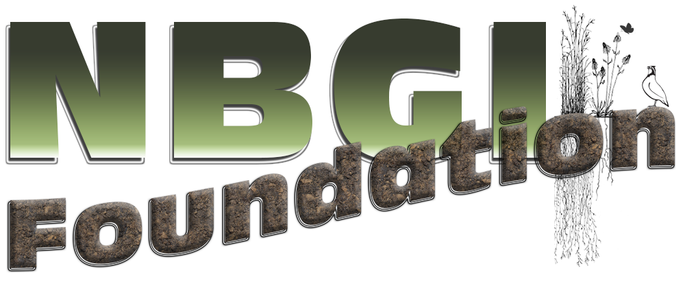 Home | National Bobwhite and Grassland Initiative Foundation